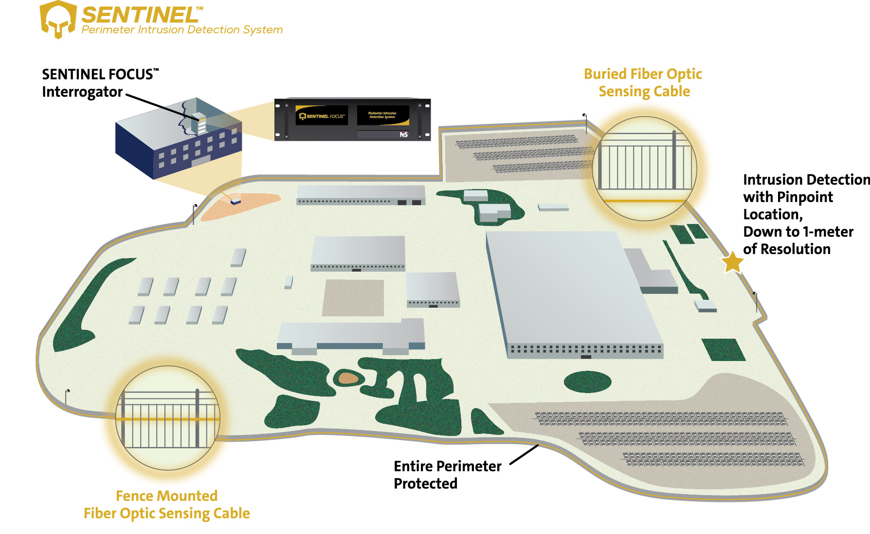 Sentinel Focus - Network Integrity Systems