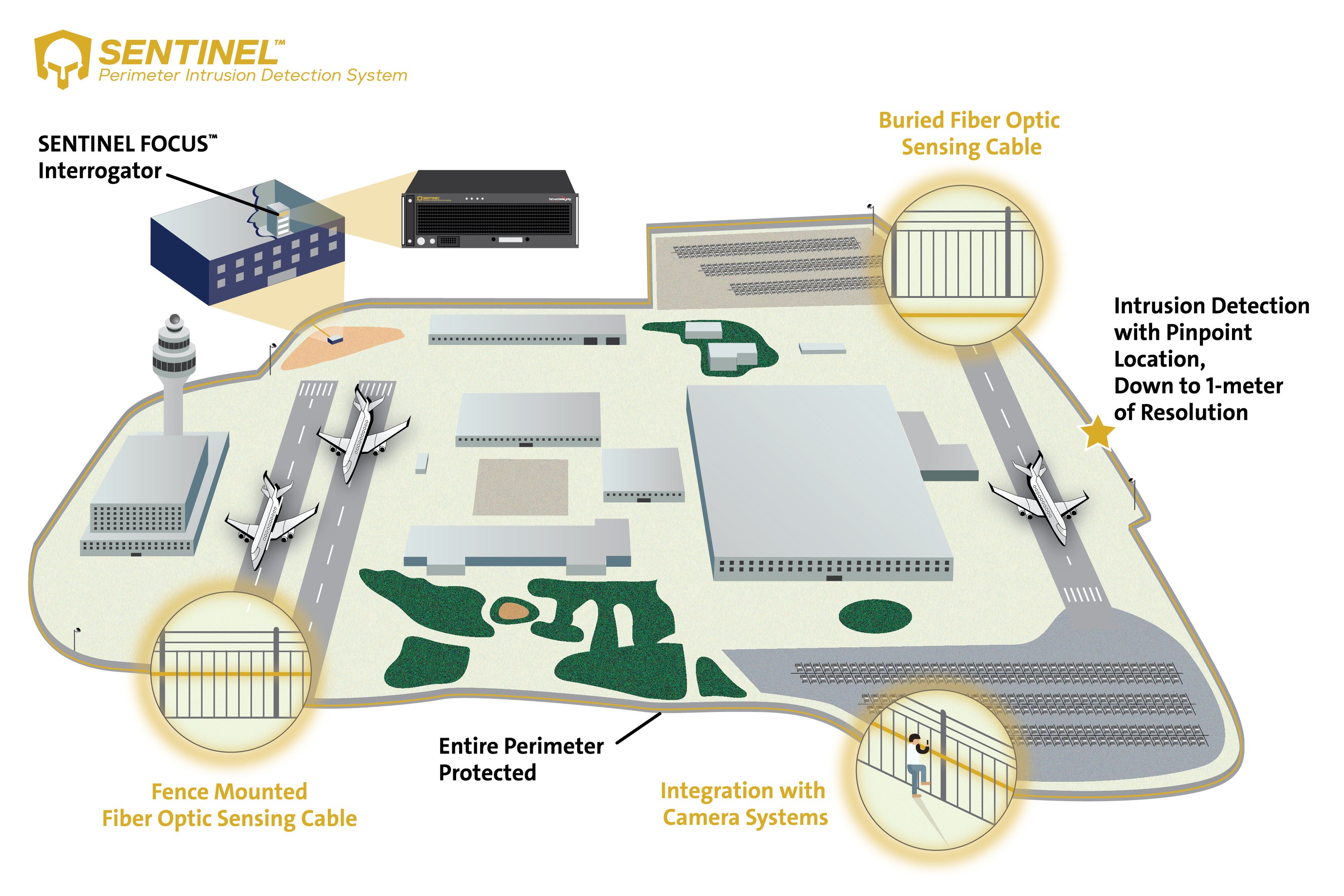 Sentinel Focus - Network Integrity Systems